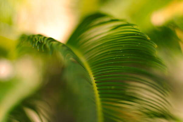 CSS Styling Example | Jcrop Demo